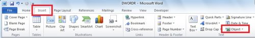 How to Select Custom Icon for the Inserted Object in Your Word Document