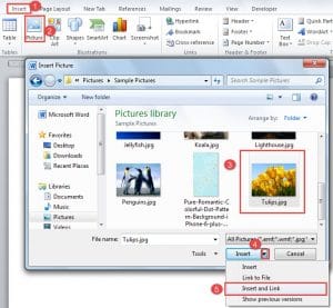 5 Effective Ways to Insert a Picture into Your Word Document