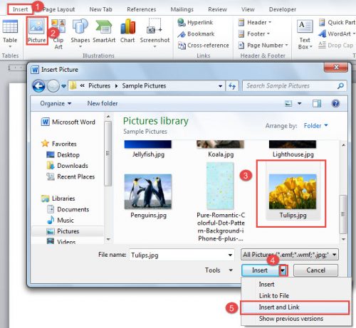 5 Effective Ways To Insert A Picture Into Your Word Document