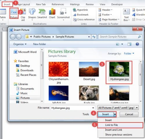5 Effective Ways to Insert a Picture into Your Word Document