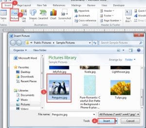 How to Remove the Background or Unwanted Parts of a Picture in Your Word