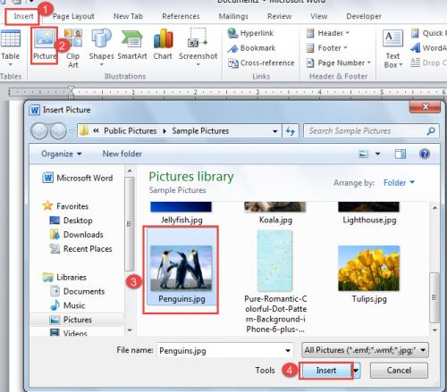 How to Remove the Background or Unwanted Parts of a Picture in Your Word