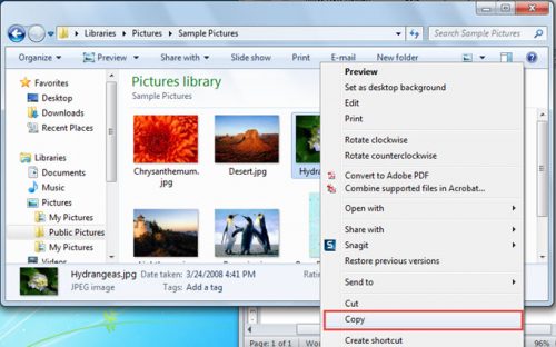 5 Effective Ways to Insert a Picture into Your Word Document