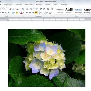 5 Effective Ways to Insert a Picture into Your Word Document