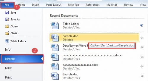 6 Quick Ways to Get the Full Path of Your Word Document File