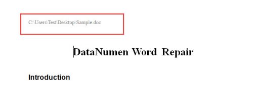 6 Quick Ways to Get the Full Path of Your Word Document File