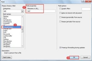 2种通过邮件合并将多张图片批量插入Word文档的方法