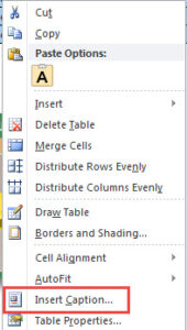 2 Ways to Change the Caption Style in Your Word Document