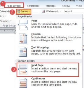2 Ways to Insert a New Page after Endnotes in Your Word Document