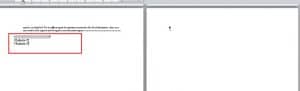 2 Ways to Insert a New Page after Endnotes in Your Word Document