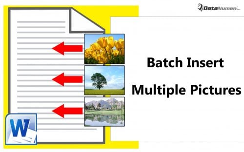 How to Batch Insert Multiple Pictures to Your Word Document
