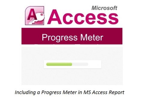 How to Including a Progress Meter in MS Access Report
