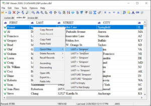 11 Best dBase Viewer Tools (2024) [FREE DOWNLOAD]