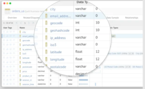 10 个最佳 MS Access 工具 (2025) [免费下 载]
