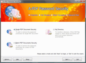 11 Best PDF Password Protector Tools (2024) [FREE]