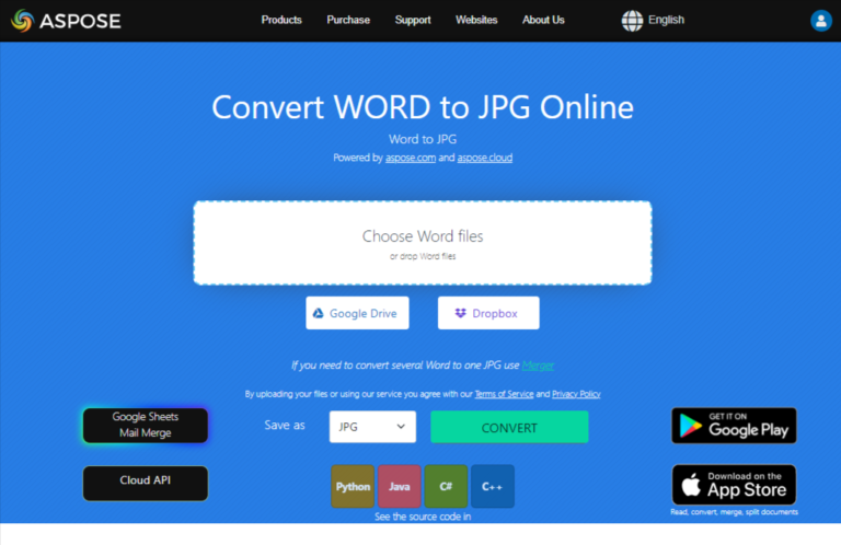 11 Best Convert Word to JPG Tools (2024) [FREE]