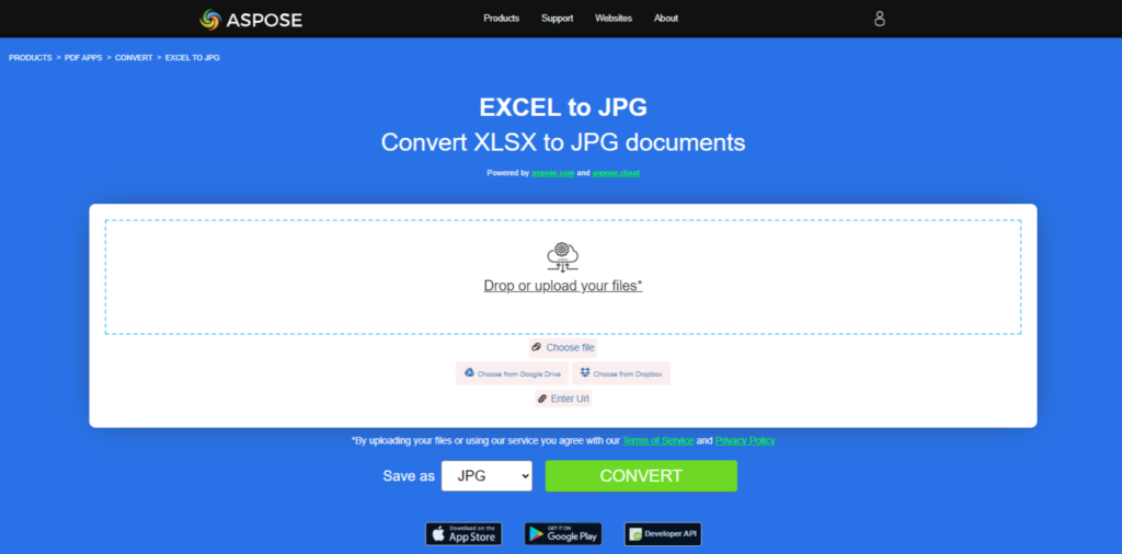 11 Best Excel to JPG Conversion Tools (2024) [FREE]