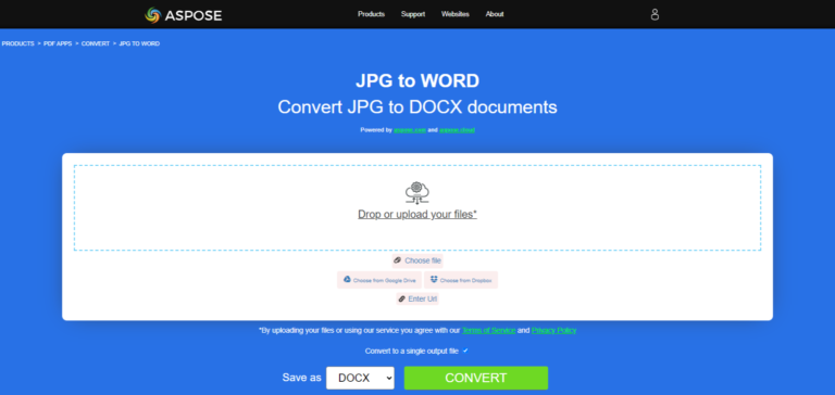 JPG を Word に変換するベスト 11 ツール (2024) [無料]