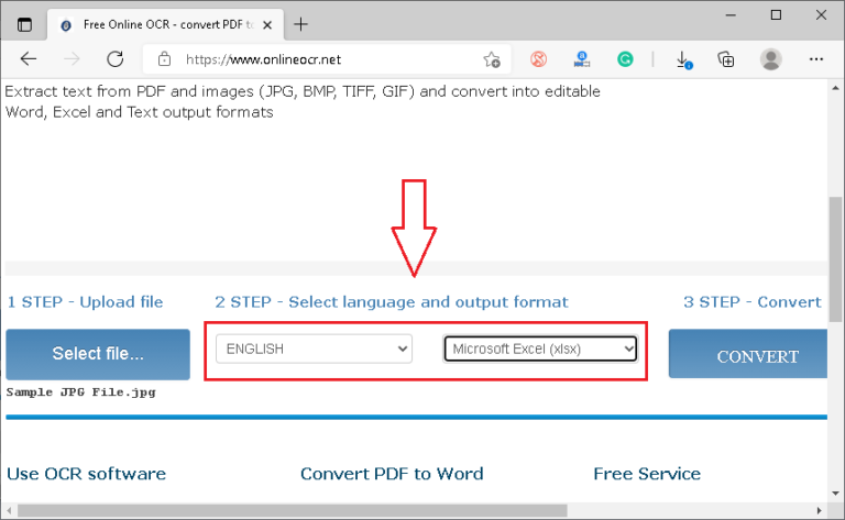 11 Best Convert JPG to Excel Tools (2024) [FREE]