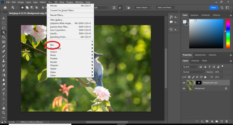 11 Best Blur Picture Tools (2024) [FREE]