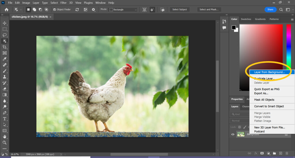 11 Best Edit Photo Background Tools (2026) [FREE]