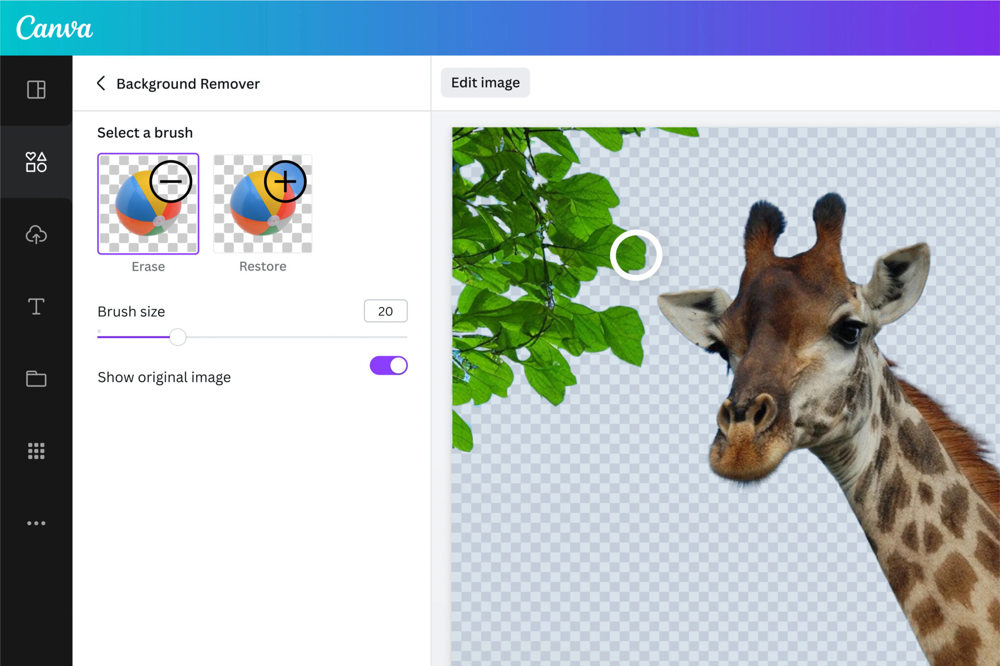 11 Best Transparent Picture Makers (2024) [FREE]