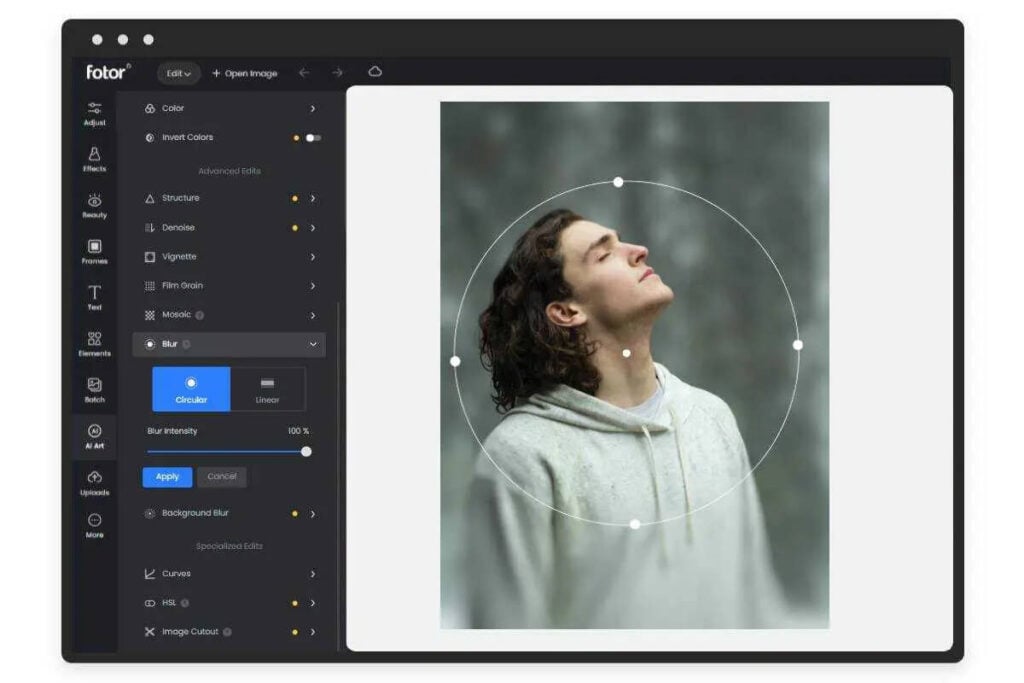 11 Best Blur Picture Tools (2024) [FREE]
