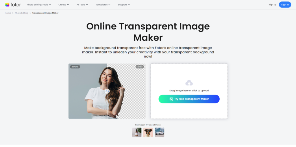 11 Best Transparent Picture Makers (2024) [FREE]