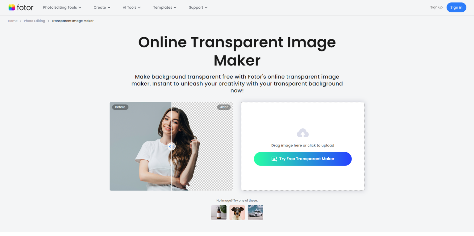 11 Best Transparent Picture Makers (2024) [FREE]