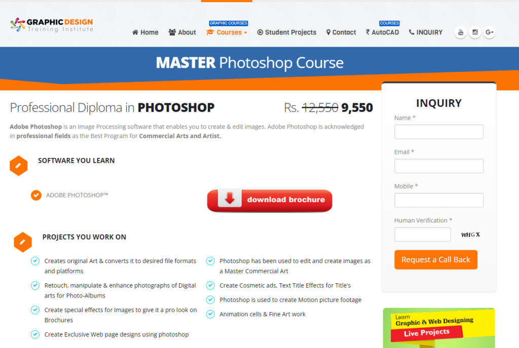 11 Best Photoshop Classes (2024)
