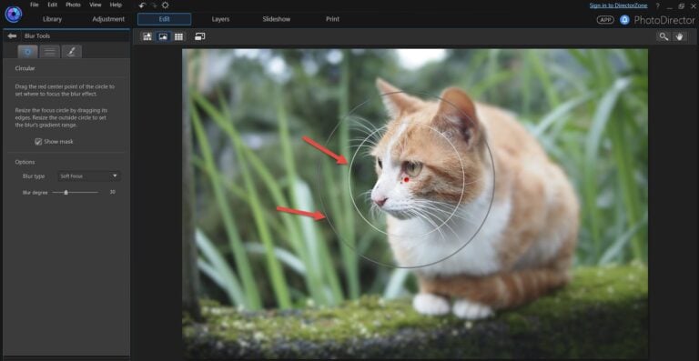 11 Best Blur Picture Tools (2026) [FREE]
