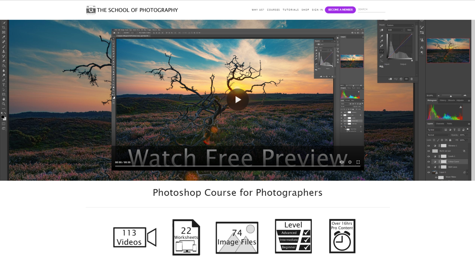 11 Best Photoshop Classes (2024)