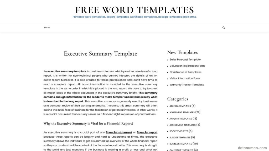 11 Best Word Executive Summary Template Sites (2024) [FREE]