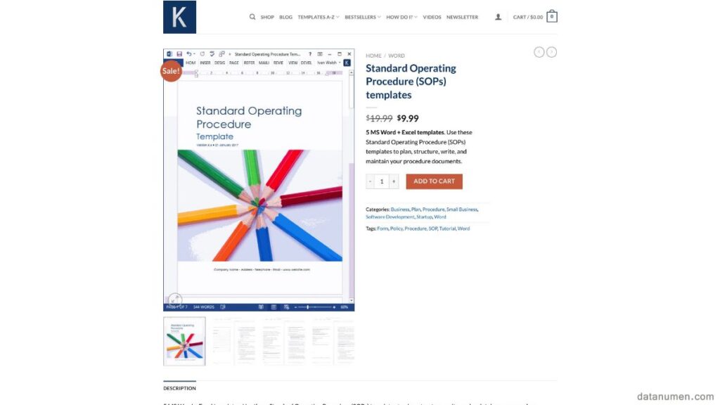 11 个最佳 Word SOP 模板网站（2024）[免费]