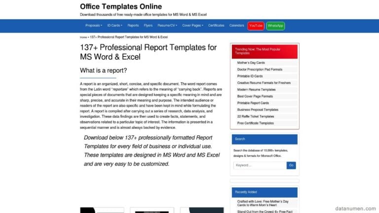 11 Best Word Report Template Sites (2024) [FREE]
