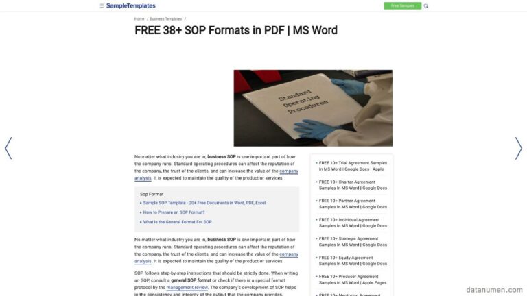 11 个最佳 Word SOP 模板网站（2024）[免费]