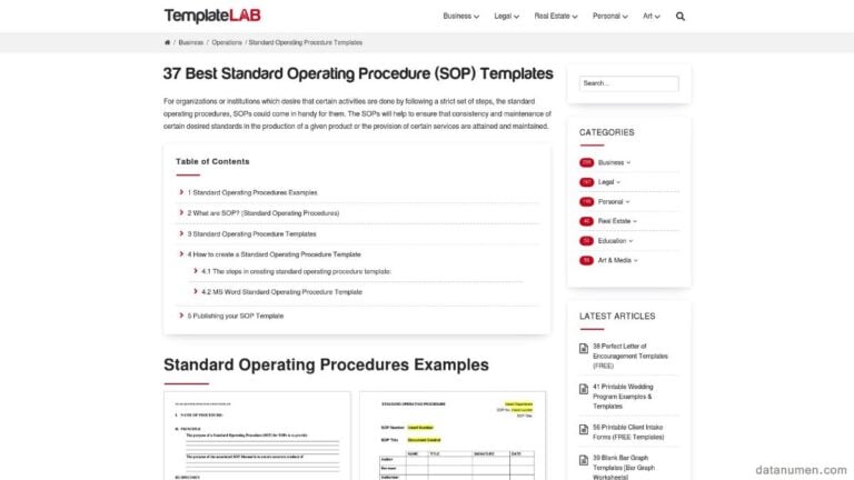 11 个最佳 Word SOP 模板网站（2024）[免费]