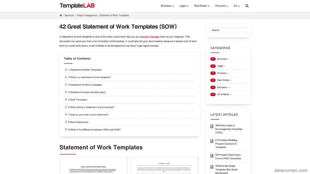 11 Best Word Statement of Work Template Sites (2024) [FREE]