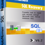SQL Server Recovery Tool. SQL Server Repair Software. MDF Repair Tool.