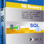 SQL Recovery | MDF Recovery Tool | DataNumen