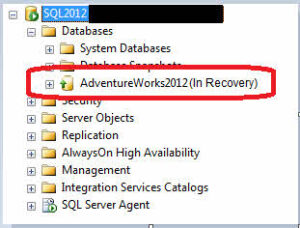 SQL Server Base de datos en modo de recuperación: 10 soluciones [2025]